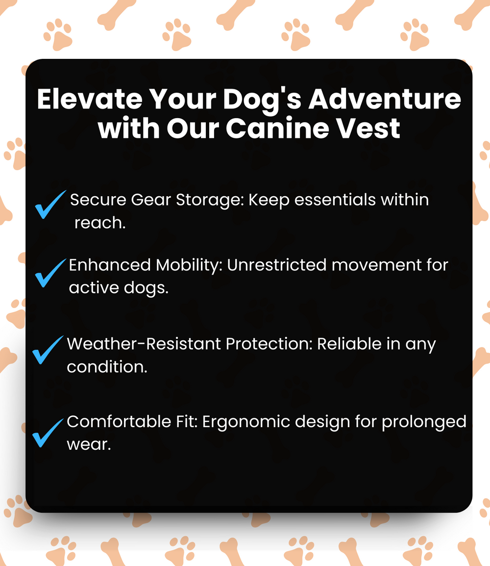Unleash Your Dog's Potential with Our Premium Weighted Vests – CANINE ...